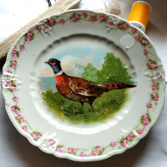 Vintage | Other | Antique Handpainted Pheasant Plate 8 Rose Border 2 ...